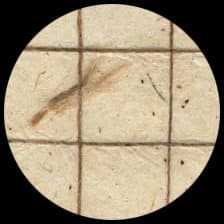 Square Strings | Graphic Products Corporation