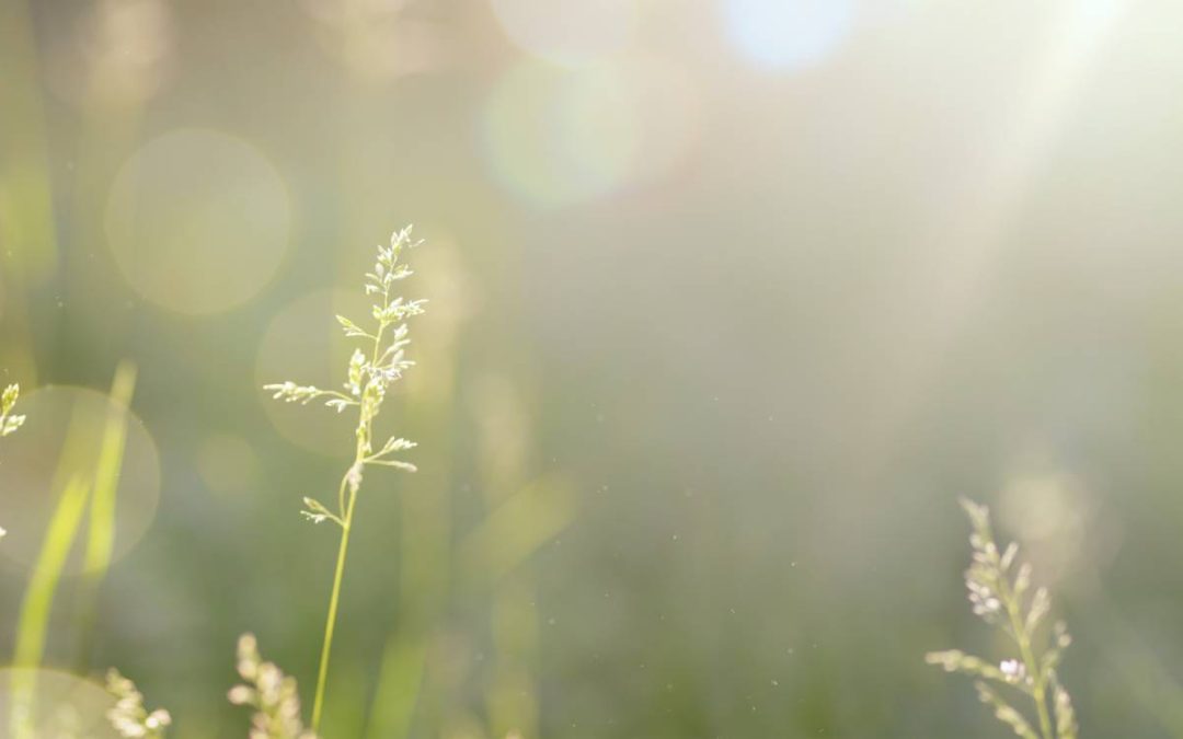 Resources Banner | Graphic Products Corporation