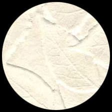 Embossed Leaves and Branches | Graphic Products Corporation