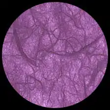 Purple | Graphic Products Corporation